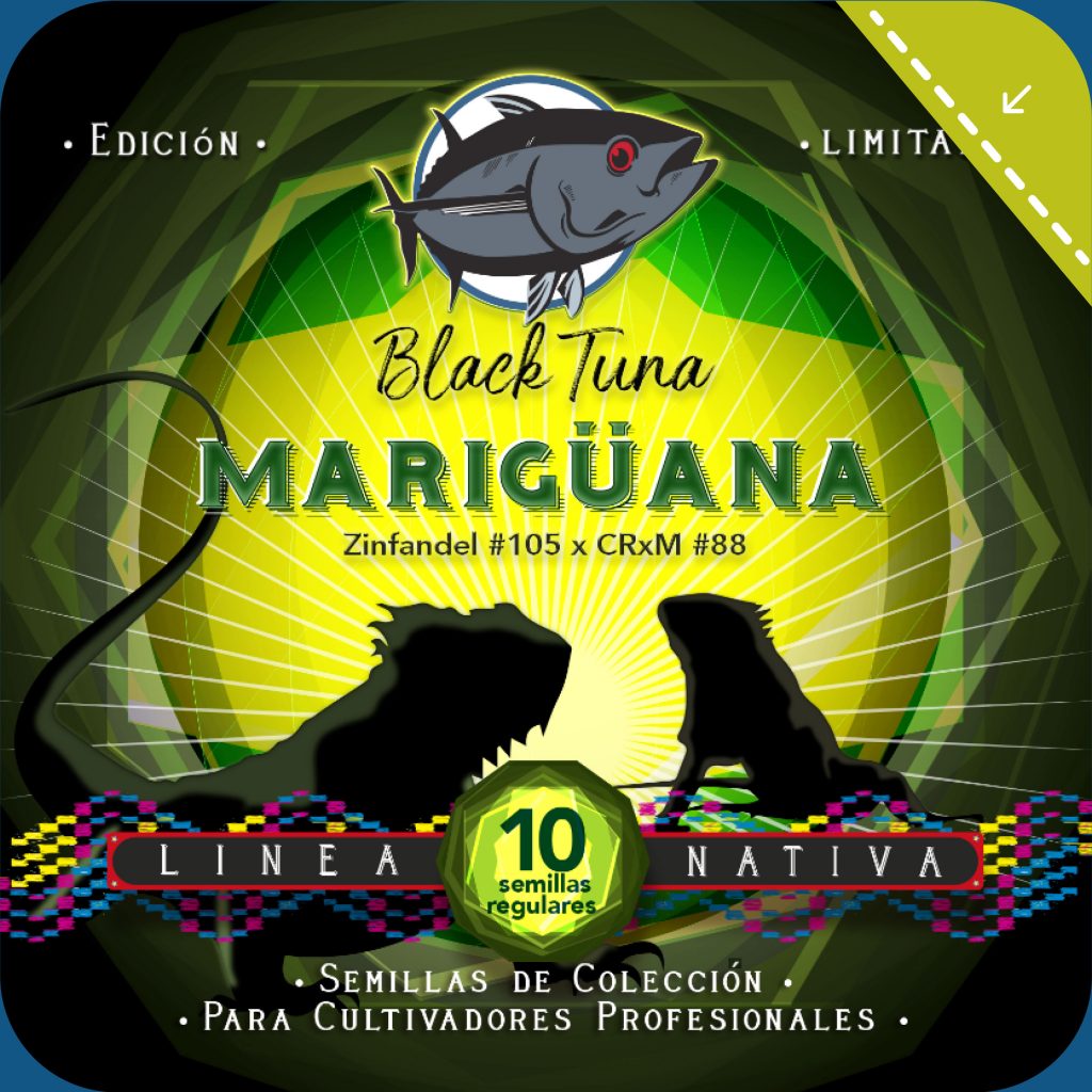 Samarian Sunset – Black Tuna