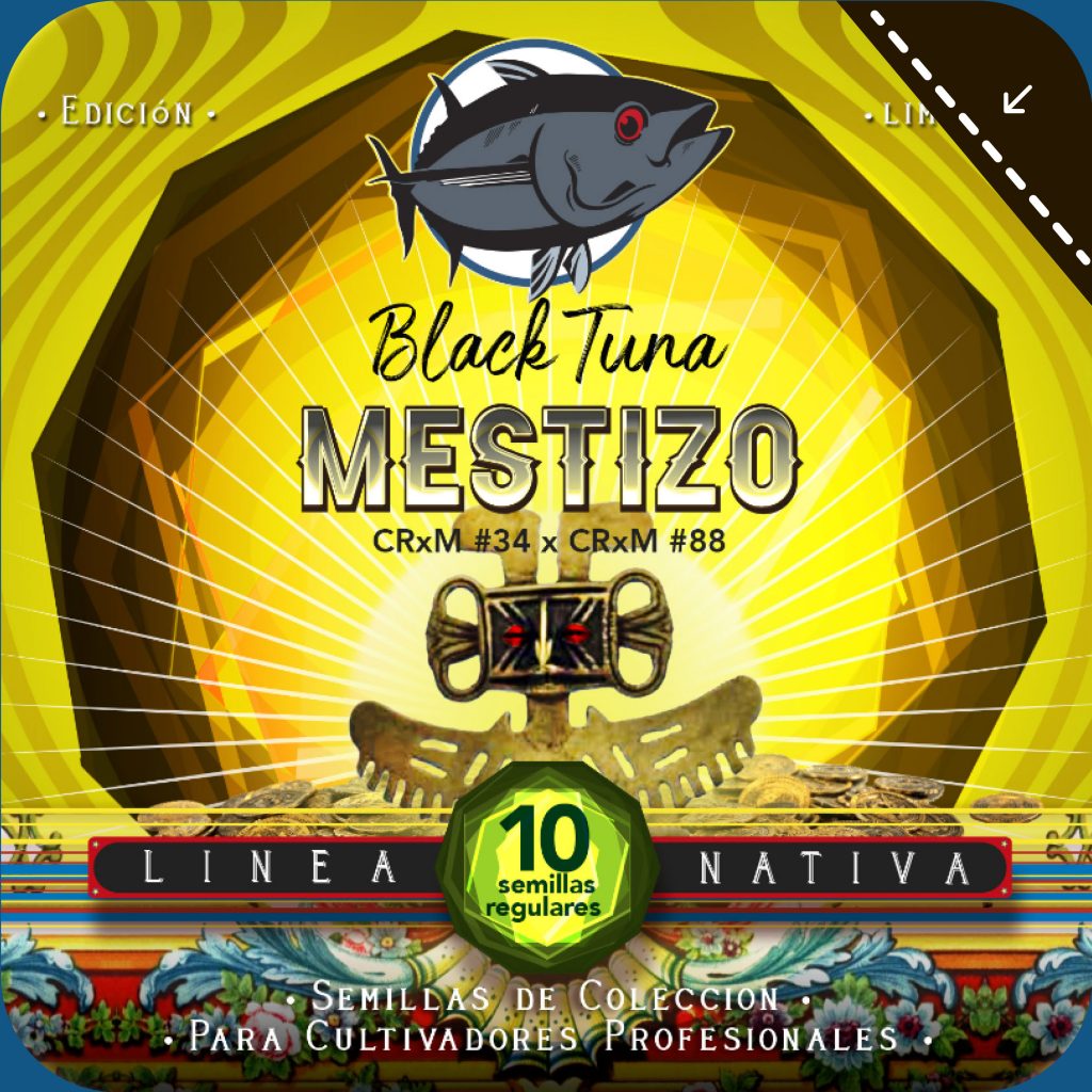 Samarian Sunset – Black Tuna