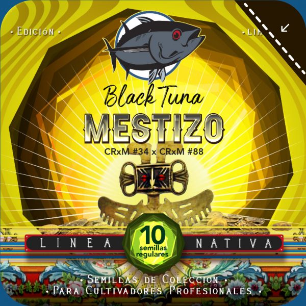 Samarian Sunset – Black Tuna