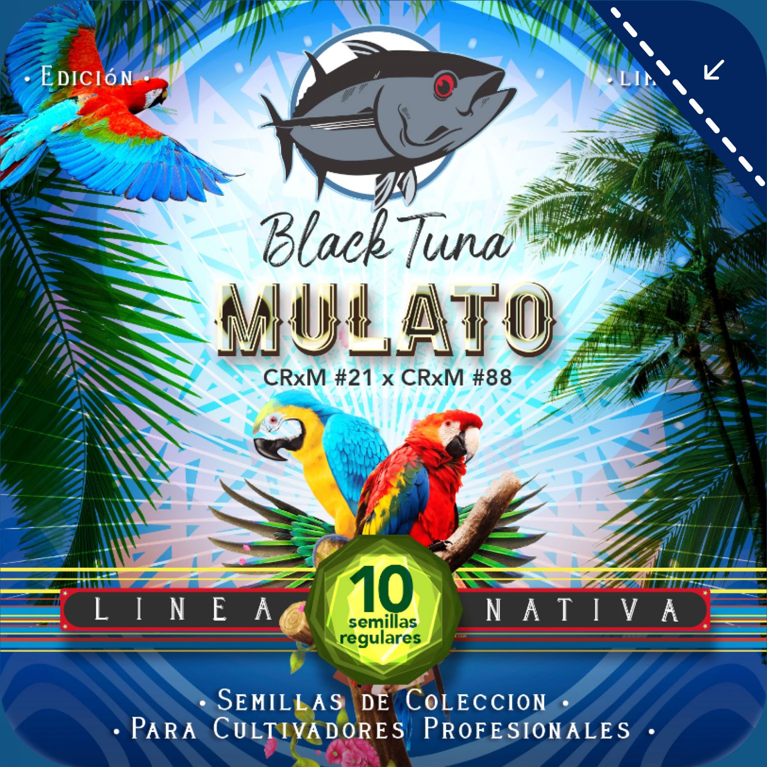 Regulares – Black Tuna