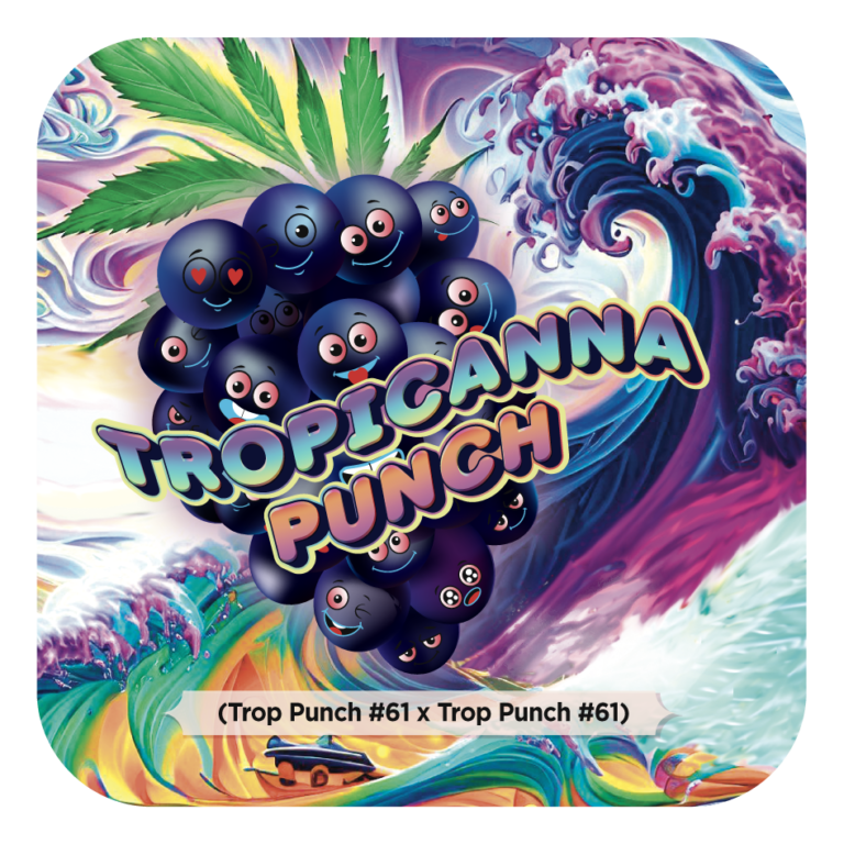 Tropicanna Punch Line Black Tuna | Productos - New drop